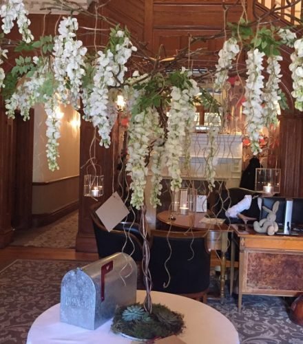 Wishing Tree | Event Hire
