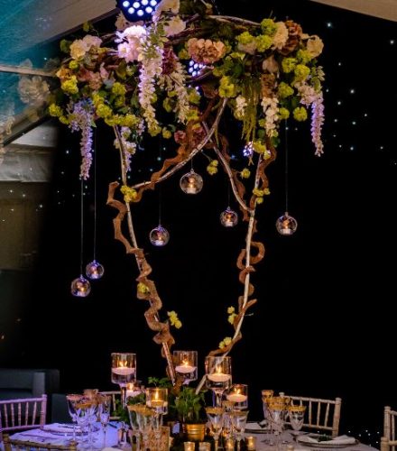 xl enchanted tree £ 350 our xl enchanted trees stand at 7ft tall they ...