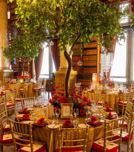 Table Top Ficus Tree for Events in Manchester & Cheshire